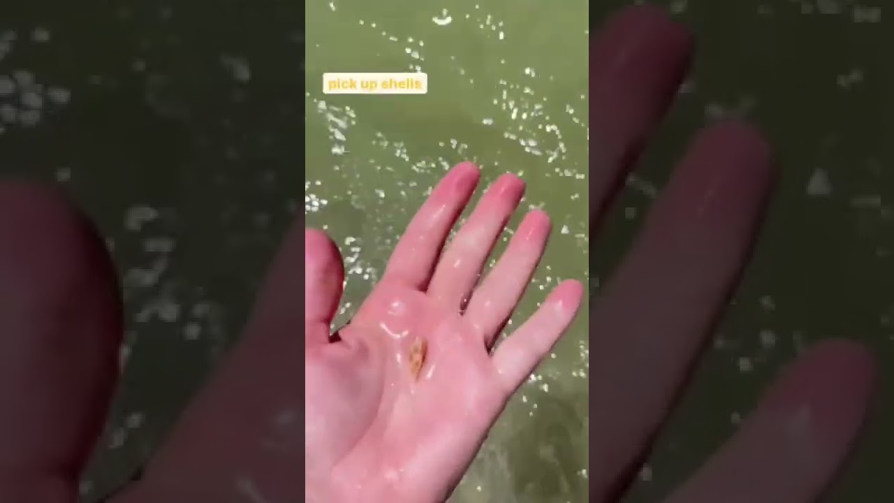 Beach VOCABULARY 🏖 • Moldova Creștină